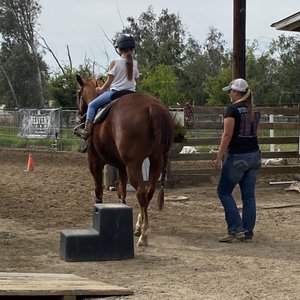 HEAVENS RANCH NORCO - 86 Photos & 33 Reviews - 4036 Pedley Ave, Norco ...