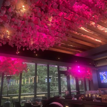 SAKU YAKITORI & SUSHI BAR - Updated November 2024 - 382 Photos & 134 ...