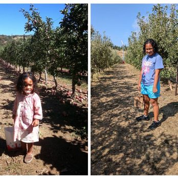 VOLCAN VALLEY APPLE FARM - Updated December 2025 - 260 Photos & 138 ...