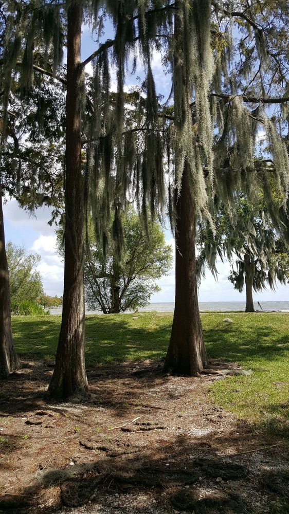 Atchafalaya Basin Backwater Adventure Swamp Tour, Gibson | Roadtrippers