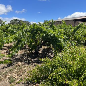 WELLINGTON CELLARS - Updated May 2025 - 87 Photos & 60 Reviews - 11600 ...
