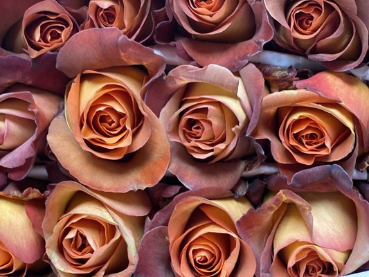 MILLE FLEURS FLOWERS - 312 Photos & 49 Reviews - 4901 Keller Springs Rd ...