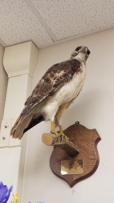 HOBBY MIDDLE SCHOOL - Updated December 2025 - 11 Photos & 10 Reviews ...