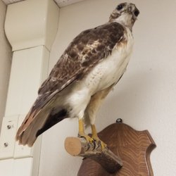 HOBBY MIDDLE SCHOOL - 11843 Vance Jackson Rd, San Antonio, Texas ...