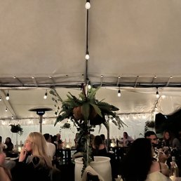 BACARI PDR - Updated January 2026 - 2592 Photos & 2568 Real Reviews ...