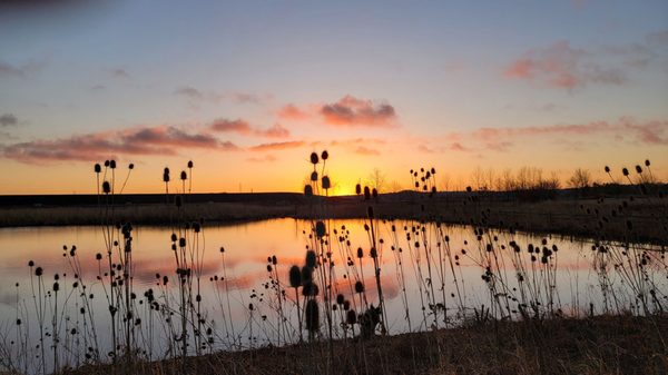 FERNALD PRESERVE - Updated May 2024 - 354 Photos - 7400 Willey Rd ...