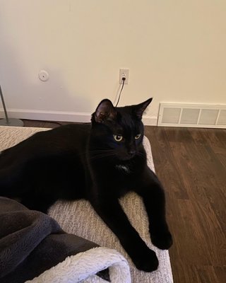 COLUMBUS HUMANE - Updated December 2025 - 33 Photos & 47 Reviews - 3015 ...