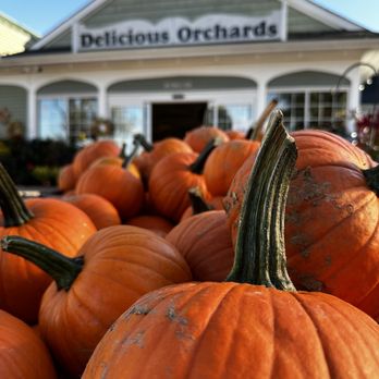 DELICIOUS ORCHARDS - Updated October 2024 - 616 Photos & 374 Reviews ...