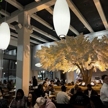 JANKEN - Updated January 2025 - 1249 Photos & 372 Reviews - 250 NW 13th ...