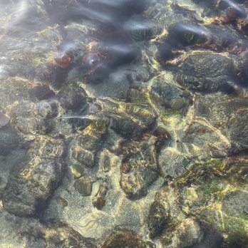 SHELL BEACH - Updated October 2025 - 196 Photos & 40 Reviews - Coast ...