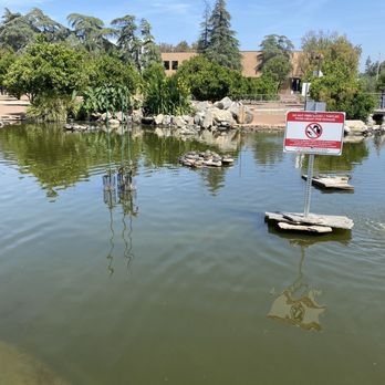 CSUN POND - Updated January 2026 - 343 Photos & 87 Reviews - 18111 ...