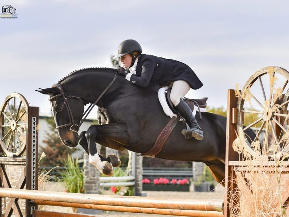 BREAKAWAY FARMS - Updated September 2025 - 55 Photos - 425 W. Laramie ...