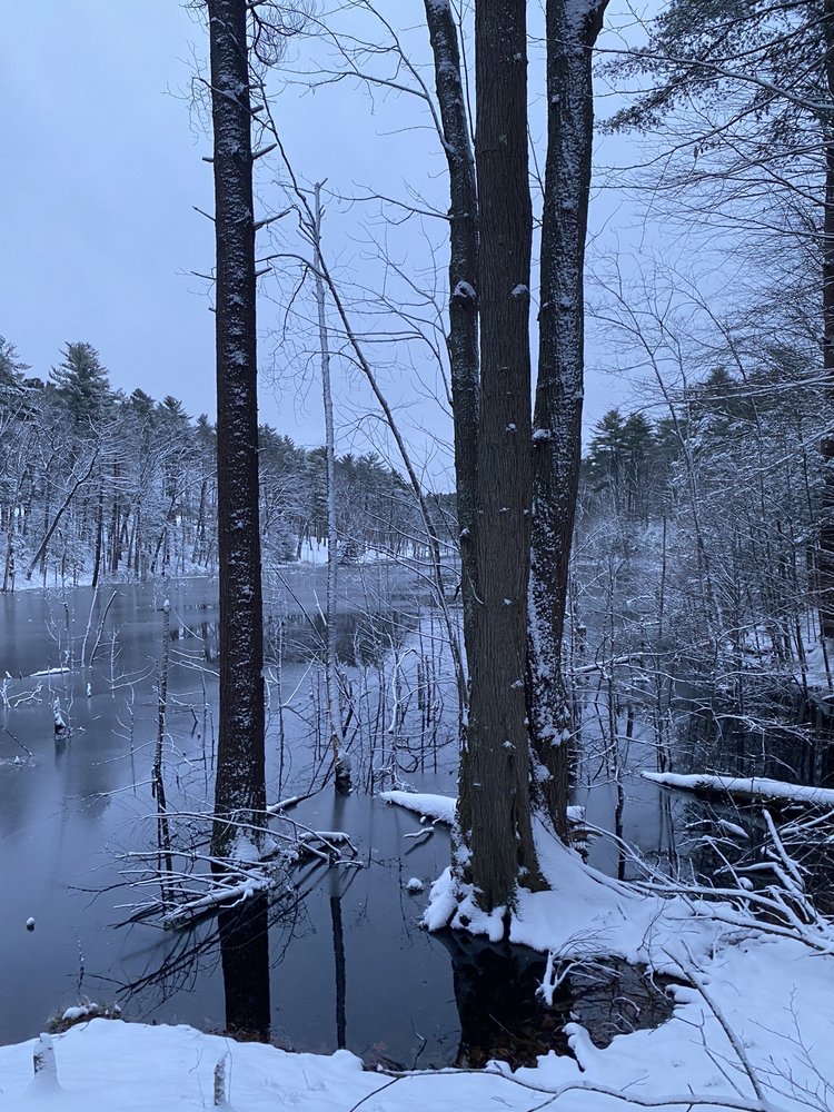 WARREN WELD WOODLAND - 64 Apple St, Essex, Massachusetts - Hiking - Yelp