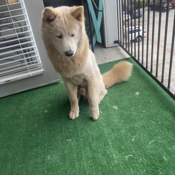 ARIELLE SPRING PLAZA - Updated September 2025 - 67 Photos & 19 Reviews ...