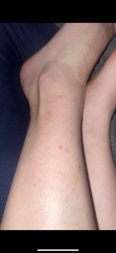 BEN’S NICHOLS BROOK MOTEL - Updated December 2025 - 12400 Olean Rd ...