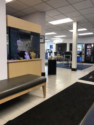 HONDA AUTO CENTER OF BELLEVUE - Updated January 2026 - 91 Photos & 658 ...