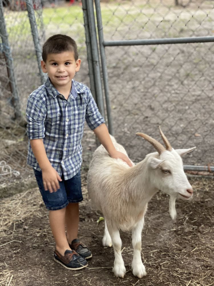 WB FAMILY RANCH - Updated October 2025 - 24 Photos - 1881 SW 112th Ave ...