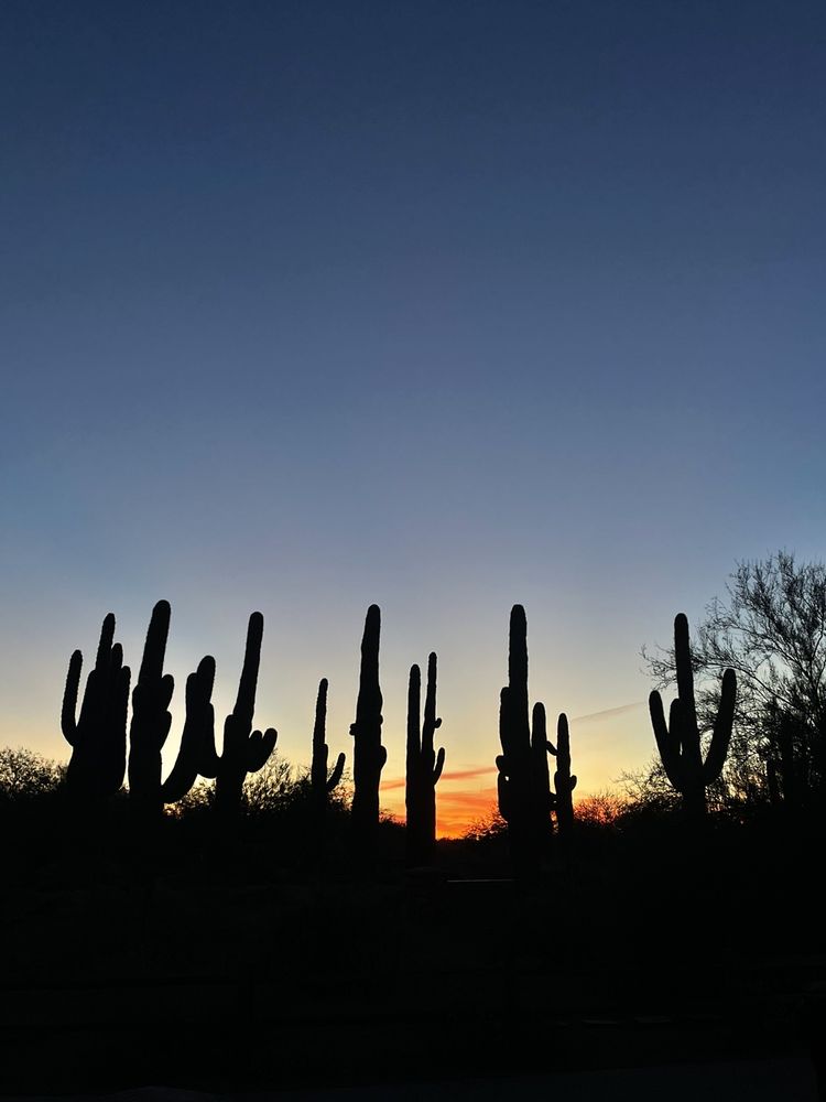 RIPARIAN PRESERVE AT WATER RANCH - 631 Photos & 215 Reviews - 2757 E ...