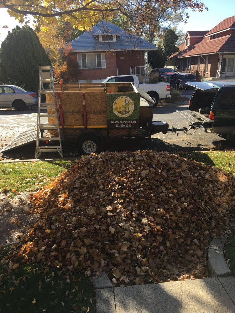 WASATCH ECO-MOW - Updated May 2024 - 12 Photos & 13 Reviews - Salt Lake ...