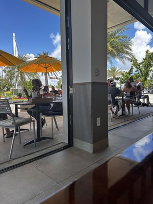 YELLOW YOLK POMPANO - Updated September 2024 - 46 Photos & 42 Reviews ...