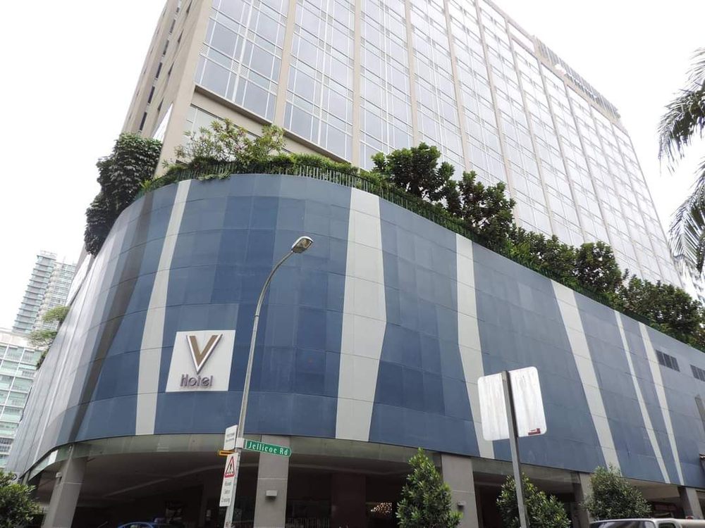 V HOTEL LAVENDER - Updated June 2024 - 10 Photos - 70 Jellicoe Rd ...