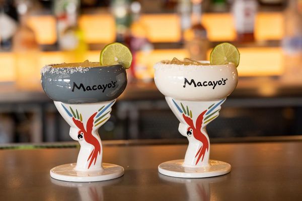 MACAYO’S MEXICAN FOOD - Updated October 2025 - 96 Photos & 204 Reviews - 22460 E Ocotillo Rd ...