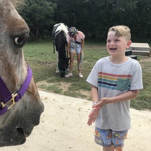 CAMP STEWART FOR BOYS - Updated July 2025 - 31 Photos - 612 Fm 1340 ...