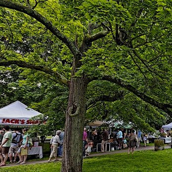 LIPPITT MEMORIAL PARK - Updated December 2025 - 54 Photos & 19 Reviews ...