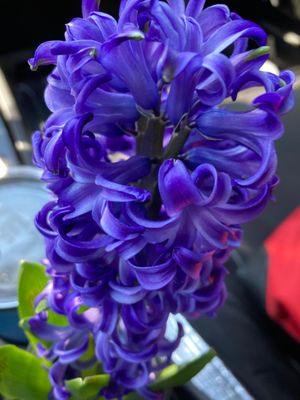 TARGET - Updated December 2025 - 100 Photos & 54 Reviews - 11220 FM ...