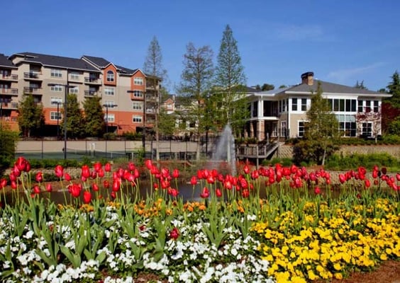 MAA CHASTAIN - Updated January 2026 - 46 Photos & 39 Reviews - 4090 ...