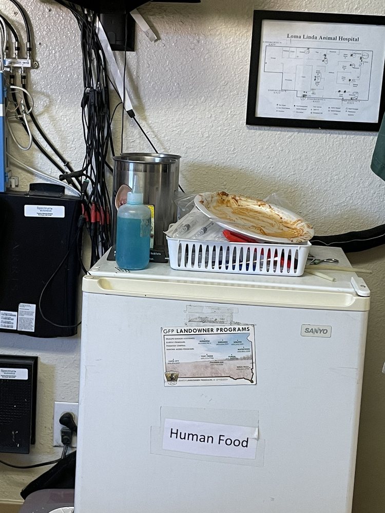 LOMA LINDA ANIMAL HOSPITAL - Updated May 2024 - 219 Photos & 655 ...
