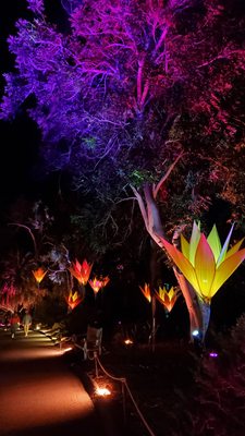 LIGHTSCAPE SAN DIEGO - Updated November 2024 - 189 Photos & 38 Reviews ...