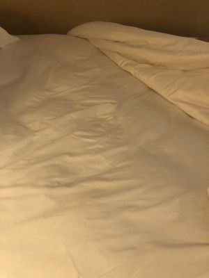 QUALITY INN BOSTON-REVERE - Updated July 2025 - 41 Photos & 36 Reviews ...