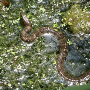 SPRINGFIELD CONSERVATION NATURE CENTER - Updated June 2024 - 35 Photos ...