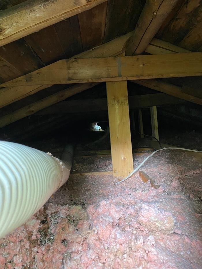 DÉCONTAMINA PRO - Updated December 2025 - 27 Rue du Joli Bosquet ...