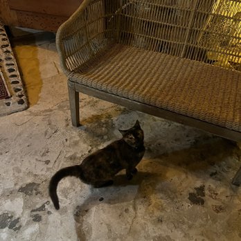 ZOI RESTAURANT & LOUNGE - Updated 2024 - 316 Photos & 128 Reviews ...