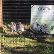 THE ZOO IN FOREST PARK & EDUCATION CENTER - 52 Photos & 21 Reviews ...