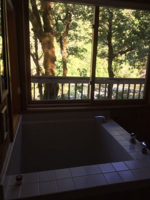 STEAMBOAT INN - 80 Photos & 70 Reviews - 42705 N Umpqua Hy, Idleyld ...