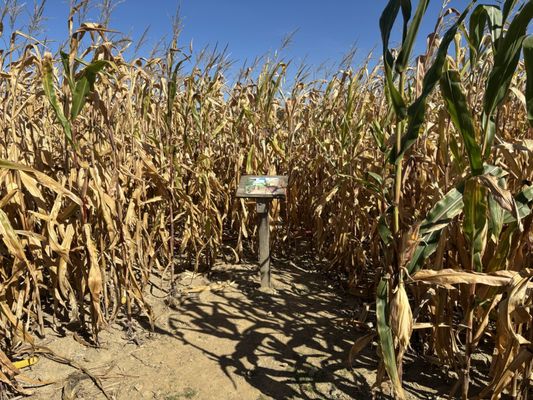 BARTON ORCHARDS - Updated December 2025 - 474 Photos & 390 Reviews - 63 ...