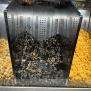 AMC DINE-IN MONTCLAIR PLACE 12 - 226 Photos & 155 Reviews - 2200 ...