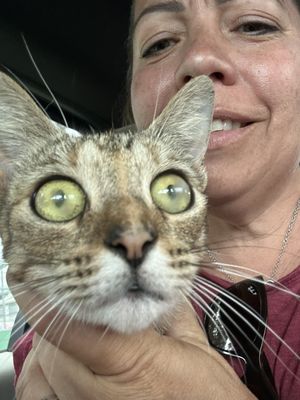ALOHA VETERINARY CENTER - Updated June 2026 - 15 Photos & 94 Reviews ...