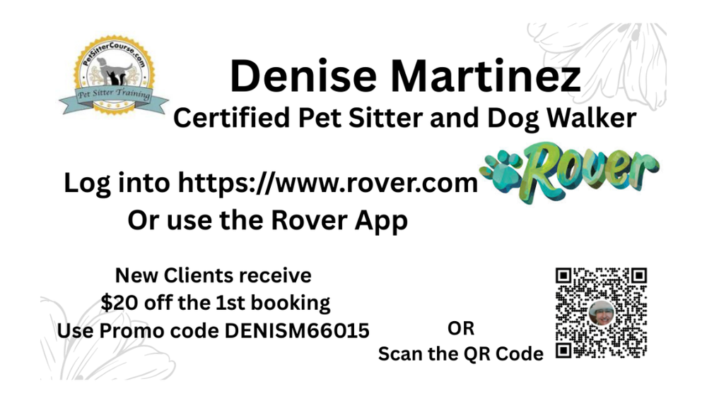 ROVER PET SITTER AND DOG WALKER - Updated March 2025 - El Paso, Texas ...