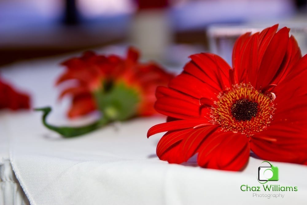 CHAZ WILLIAMS PHOTOGRAPHY - 22 Photos - Houston, Texas - Event ...