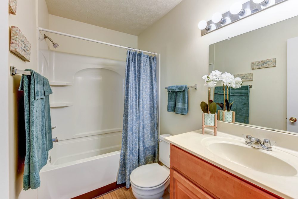 CHESTNUT RIDGE APARTMENTS - Updated October 2025 - 30 Photos - 3200 ...