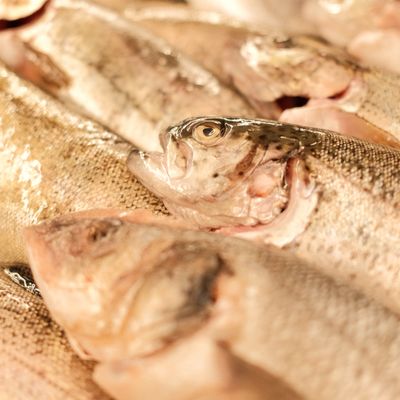 BROTHERS FRESH MARKETPLACE - Updated January 2026 - 221 Photos & 71 ...