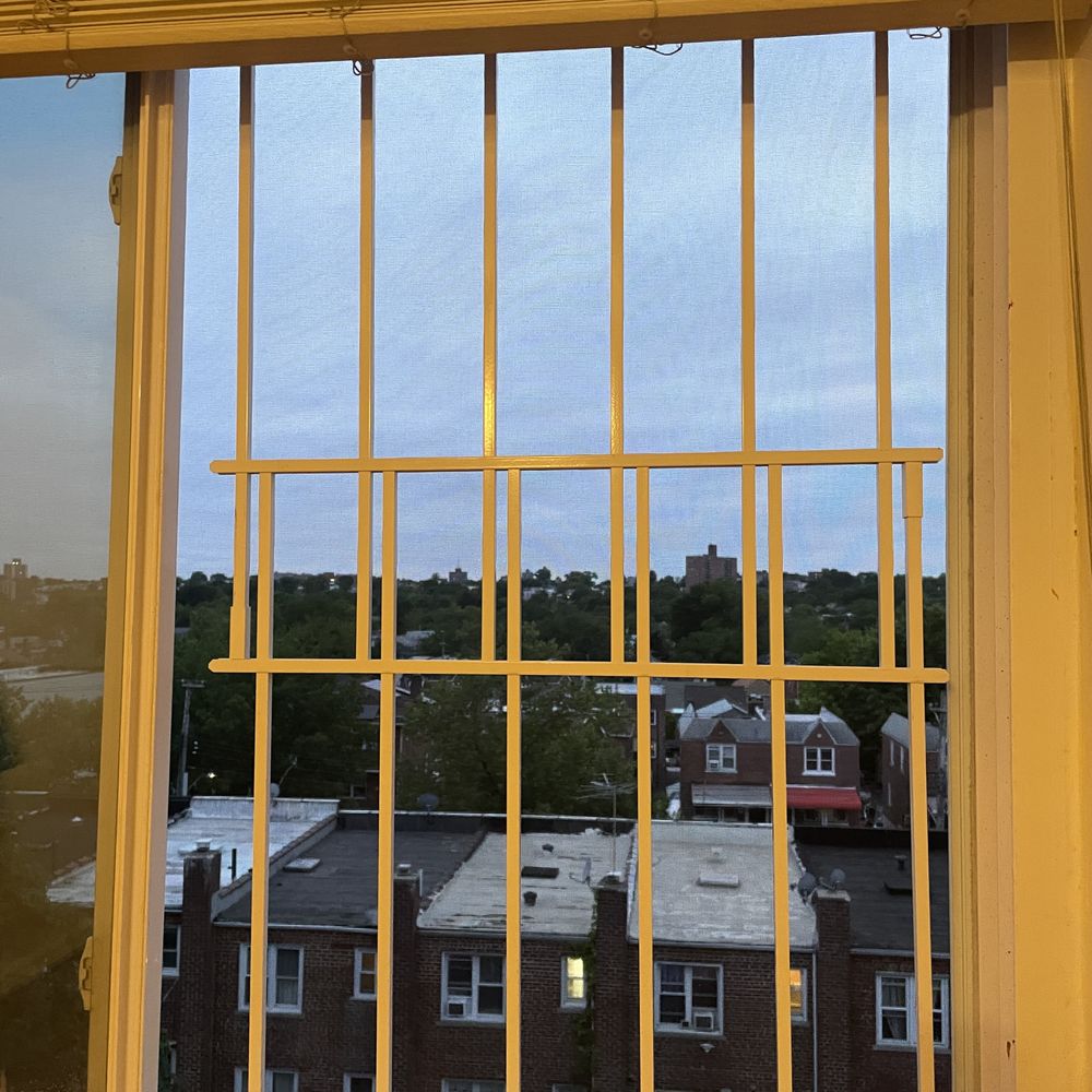 Decorative Window Guards New York | Shelly Lighting