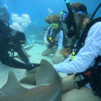 CAPTAIN SLATE’S SCUBA ADVENTURES - Updated December 2025 - 52 Photos ...