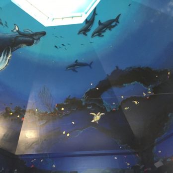 NAVY EXCHANGE PEARL HARBOR - Updated December 2024 - 1018 Photos & 348 ...