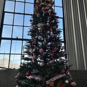 SEGUNDO COFFEE LAB - 400 Photos & 158 Reviews - 711 Milby St, Houston ...