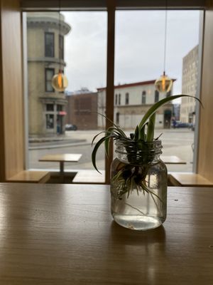 WONDERSTATE COFFEE - MADISON - 70 Photos & 36 Reviews - 27 W Main St ...